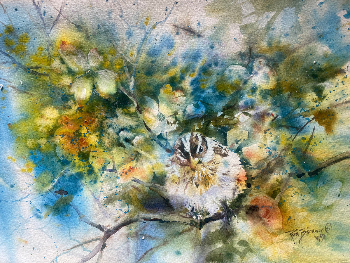 Sparrow – Opera House Gallery of Contemporary Art