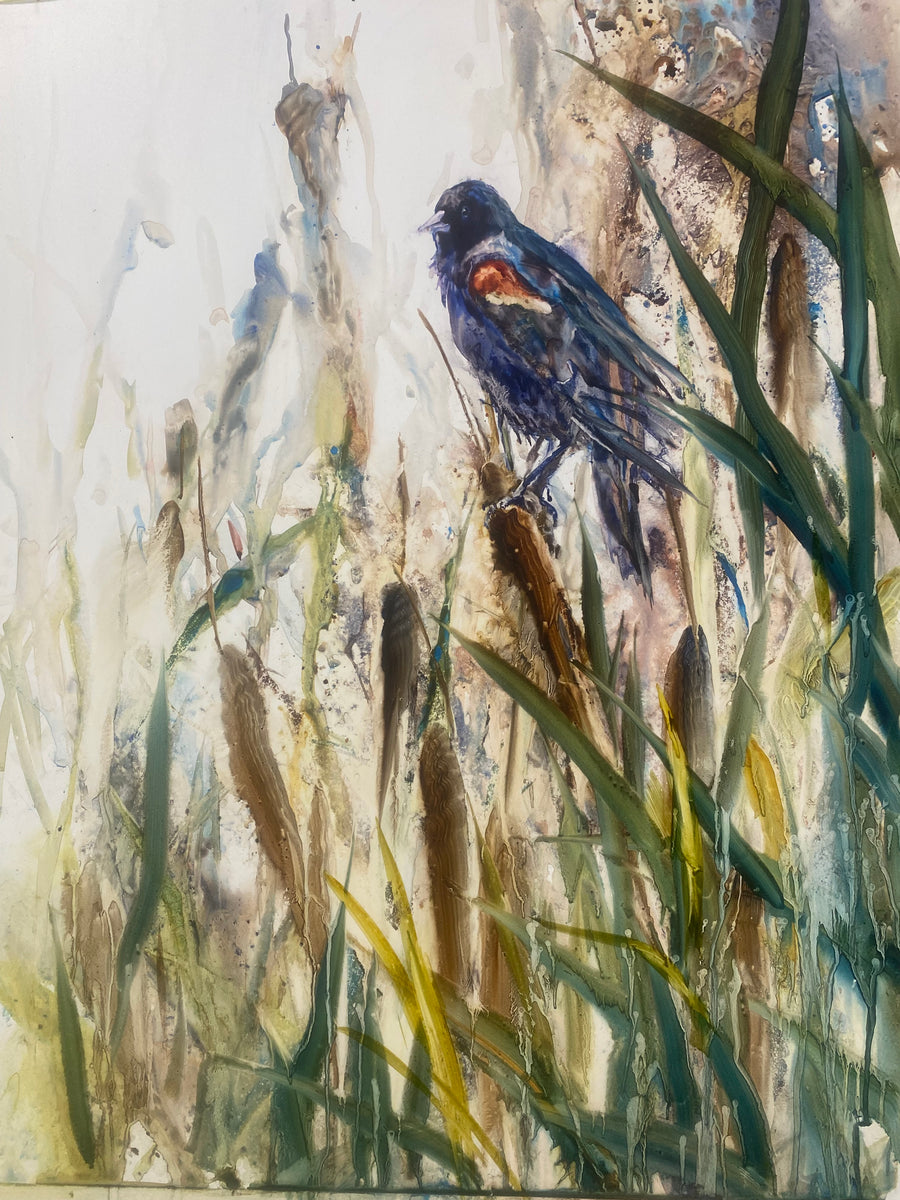 The Marsh – Opera House Gallery of Contemporary Art