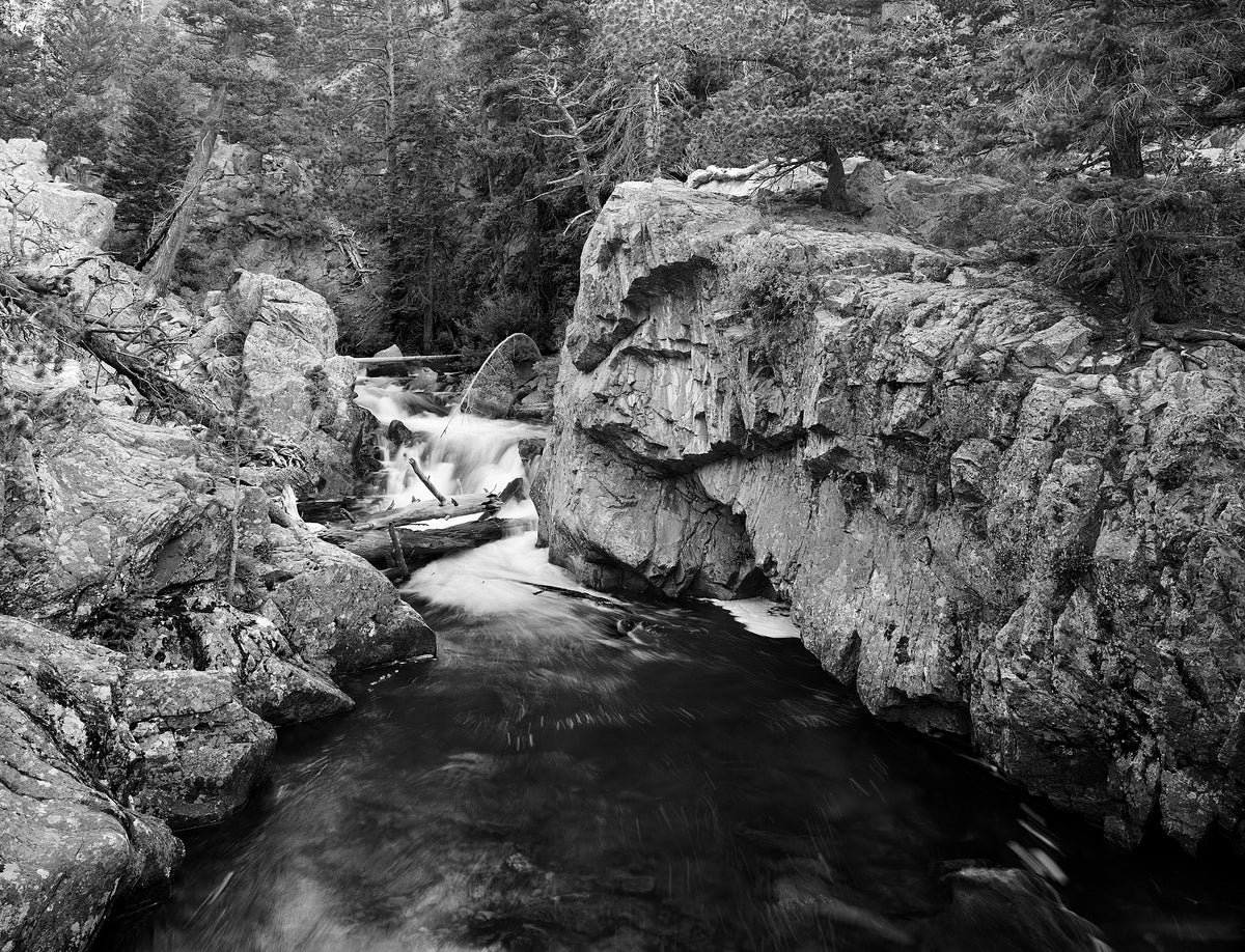 The Pool - 8"x 10" – Opera House Gallery of Contemporary Art